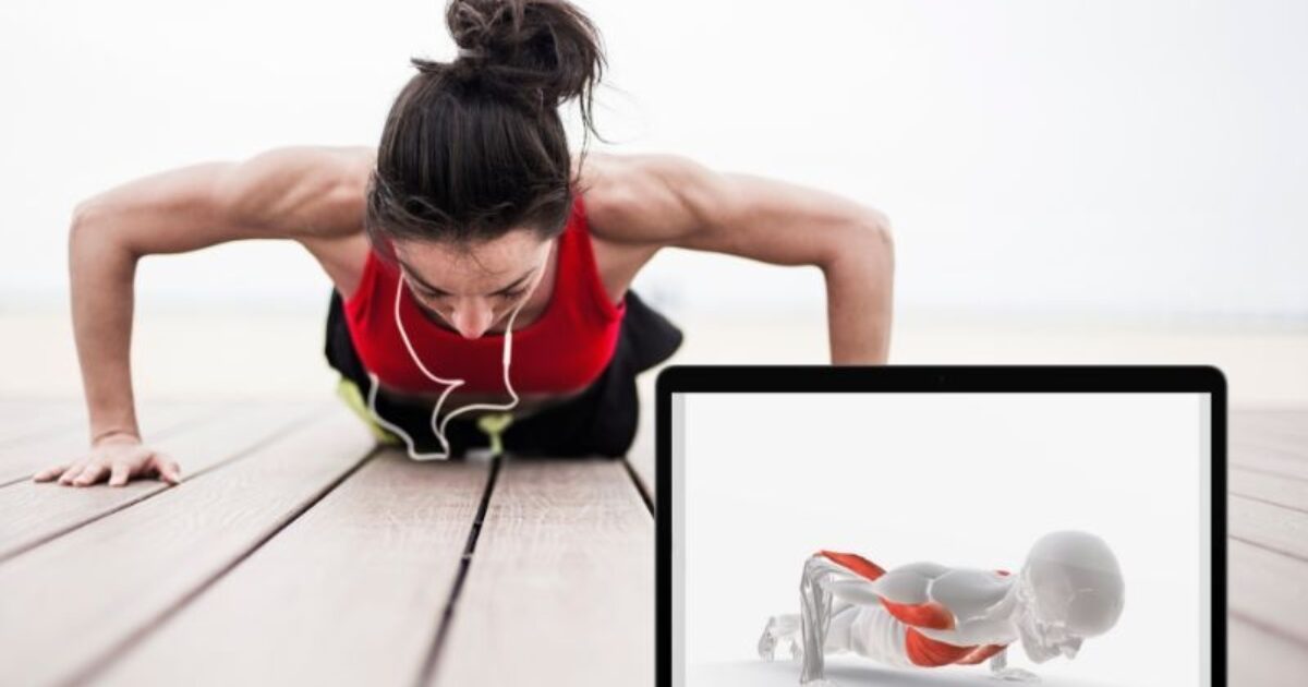 BioDigital | See how customers use interactive 3D to democratize…