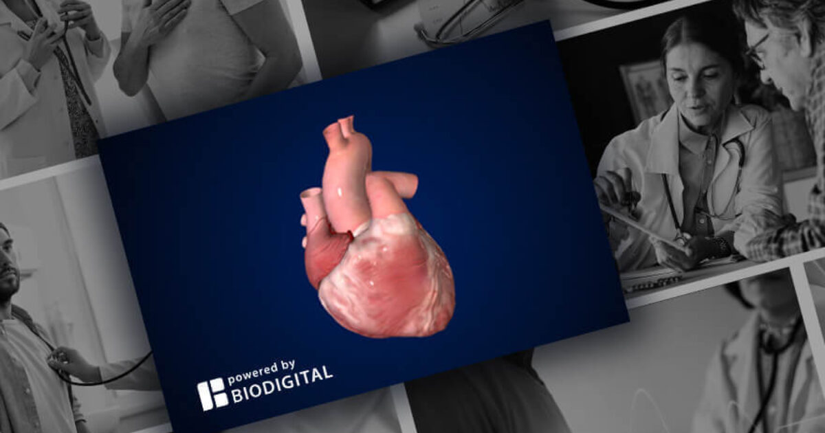 BioDigital | BioDigital | Developer Toolkits